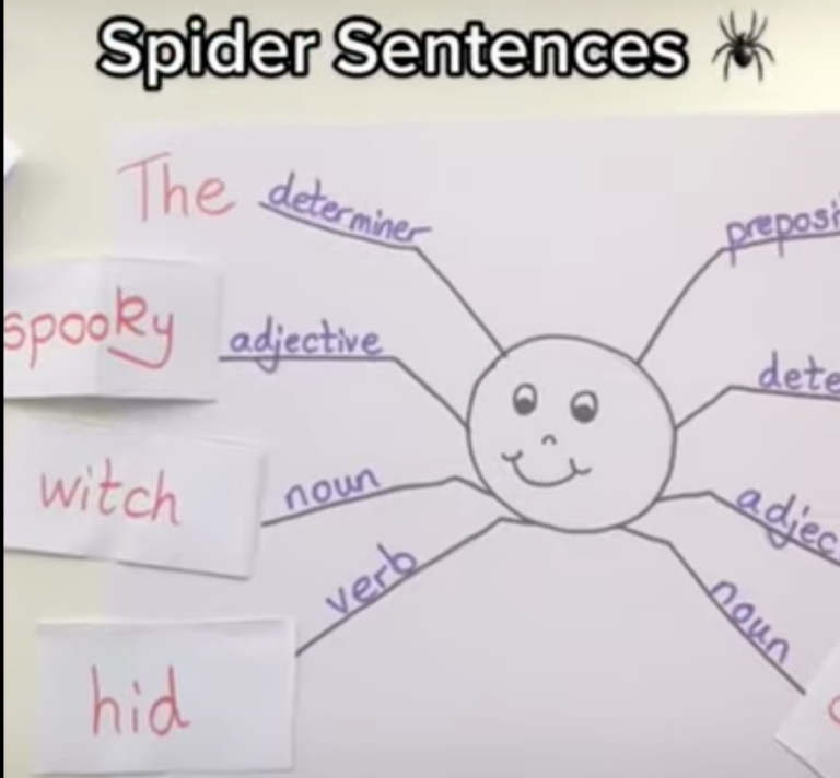 Spider Sentences - Playful Learning Games